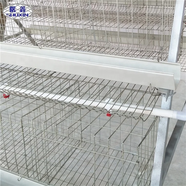 D Type Layer Egg Chicken Cage - Long Service Life & Space Efficiency