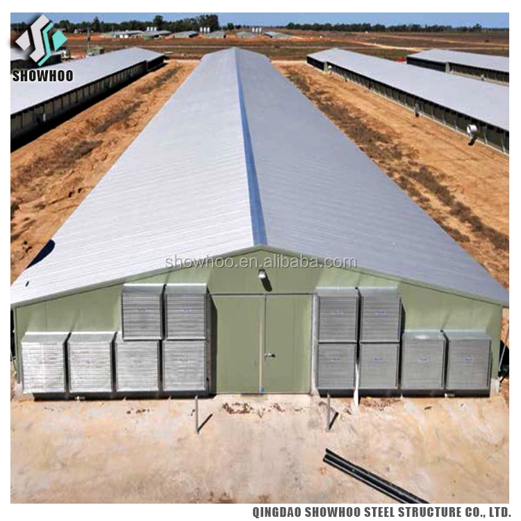 Commercial Chicken House Broiler Poultry Shed Design