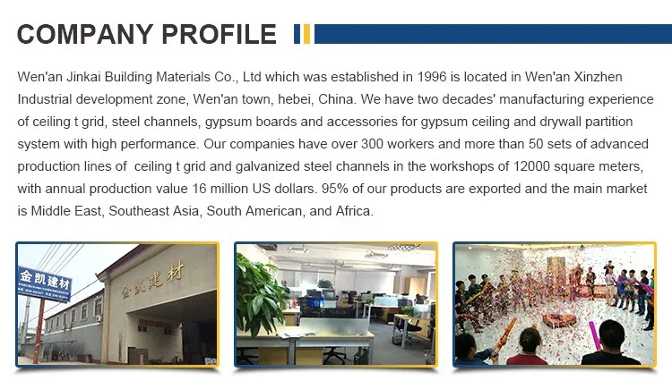 Suspended Ceiling Accessories - Flat Metal Spring Clips