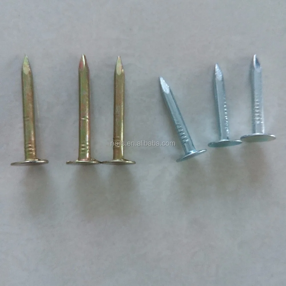 Frees Sample Galvanized Clout Nails/3/4inch And 1 Inch - Buy Clout ...