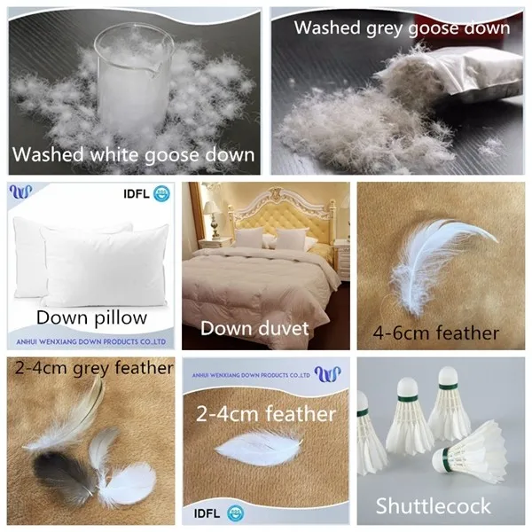 70% Washed Grey Goose Down Filling Materials - Buy Duck Down,Washed 70% ...