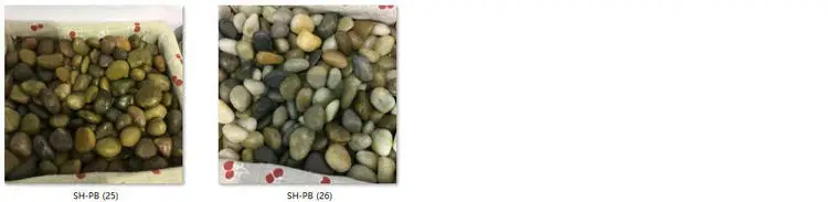 Landscaping Small Flat River Rock Stones - Walkway & Sidewalk