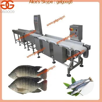 Fish Sorting Machine|fish Grading Machine|automatic Fish Sorting ...