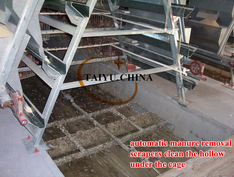 Taiyu Save Labor Cost And Easy Clean Poultry Manure Cleaning Scraper ...