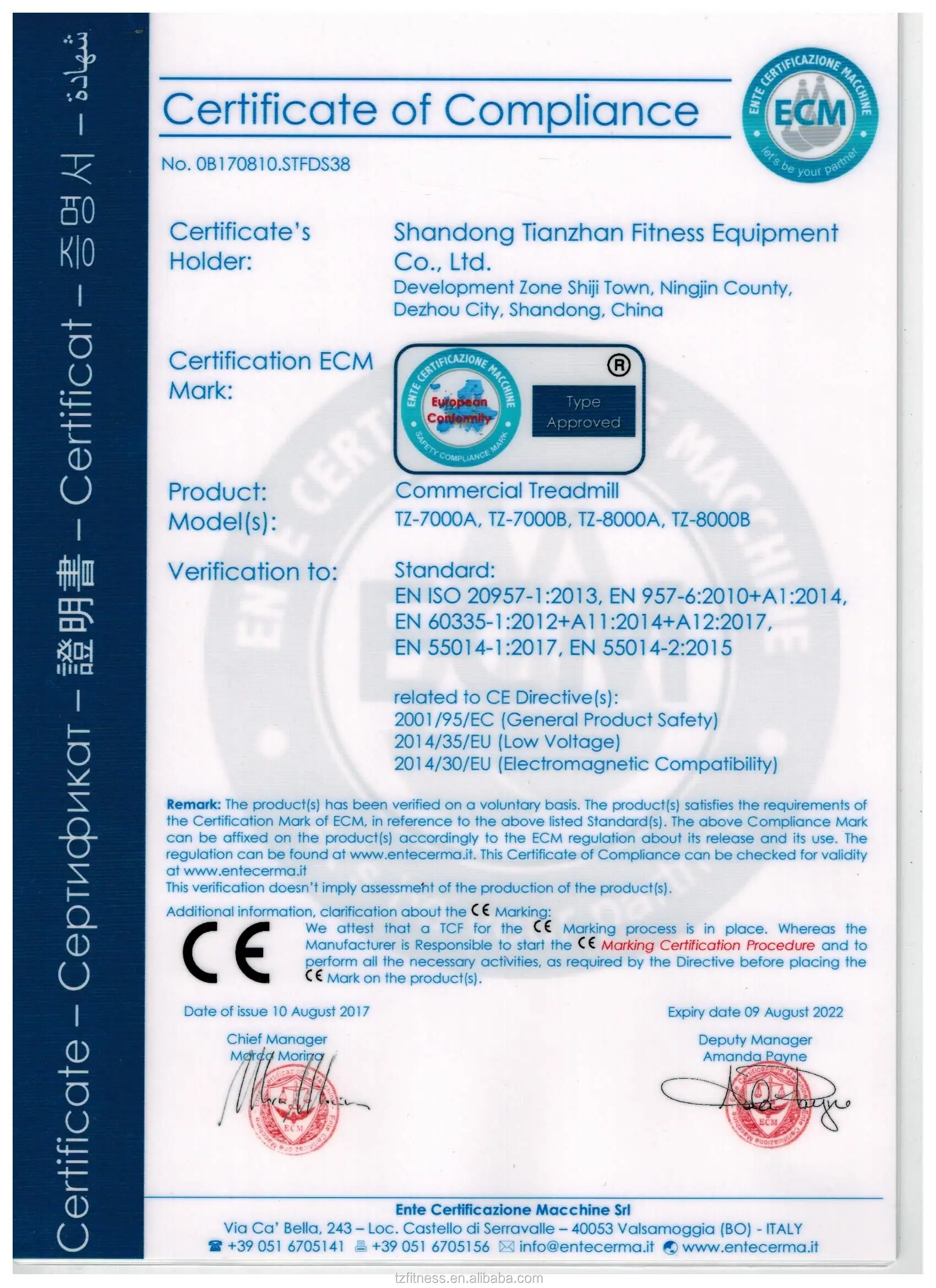 TZ-2040B นักปีนบันได/TZ อุปกรณ์ออกกำลังกาย/เครื่องออกกำลังกาย| Alibaba.com