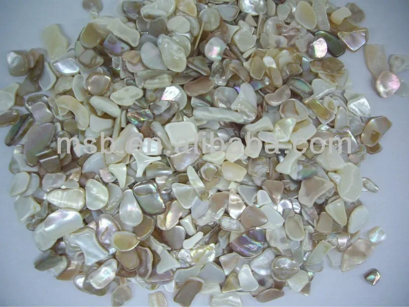 Natural Abalone Paua Crushed Abalone Shell Chips Blanks - Buy Abalone ...