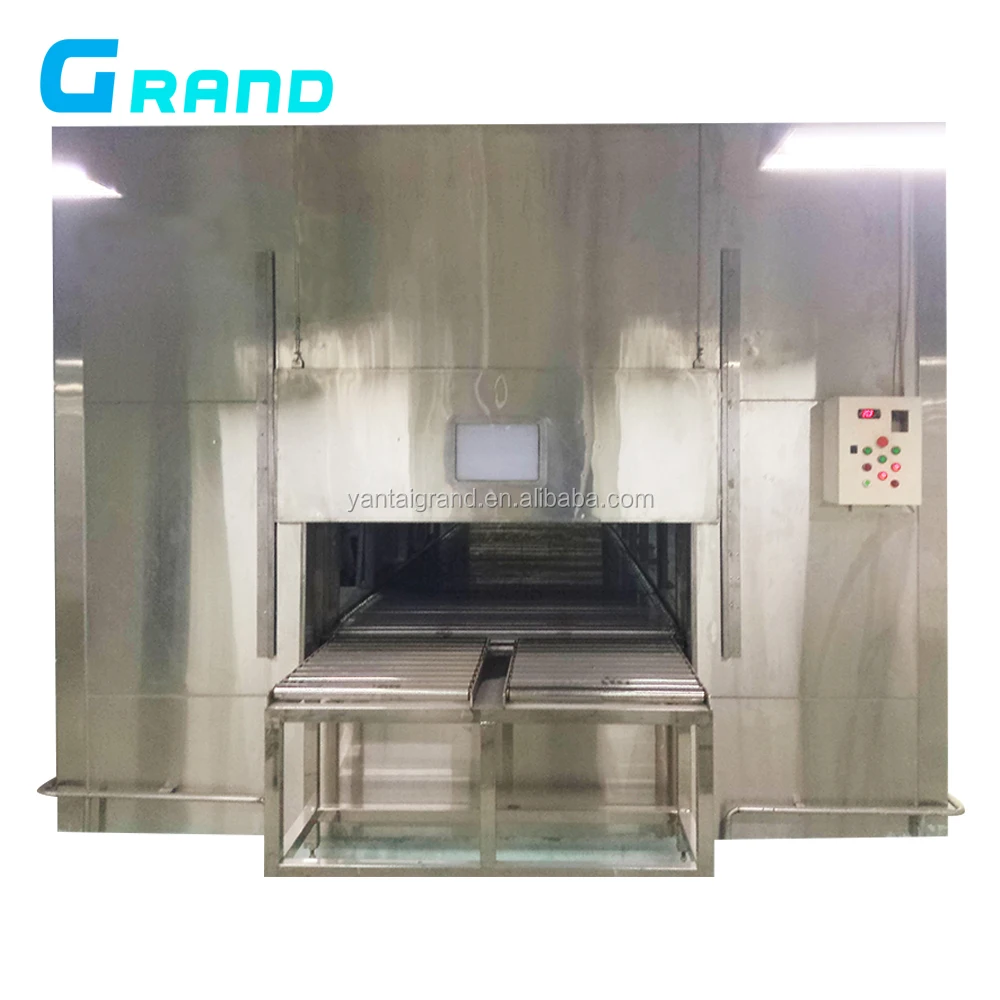 500KG/H Quick Freezing Air Blast Freezer for Vegetables