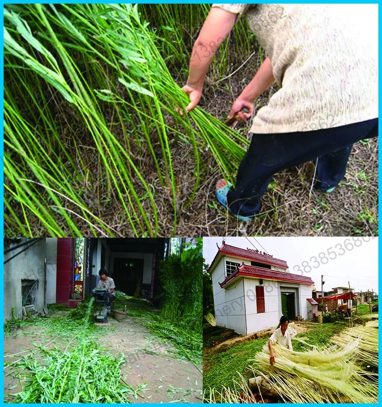 2016 Wholesales Osier Barking Willow Peeling Machine - Buy Osier ...