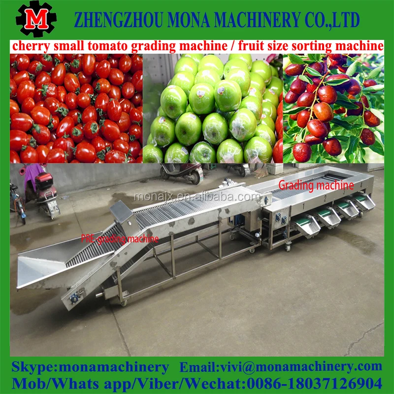 Blueberry/strawberry Sorting Machine/grading Machine - Buy Strawberry Sorting Machine/grading ...