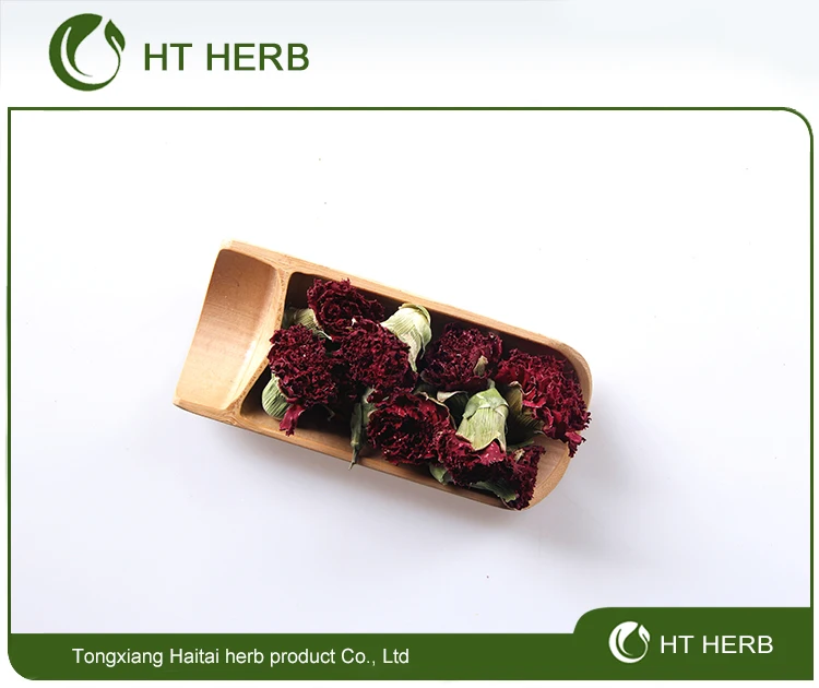Hot Sale Fresh Handmade Carnation Dried Carnations Flower - Buy Fresh ...