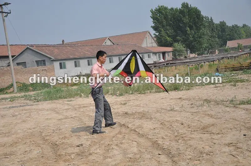 High Quality Double Line Stunt Kite - Dingsheng Parachute Kite