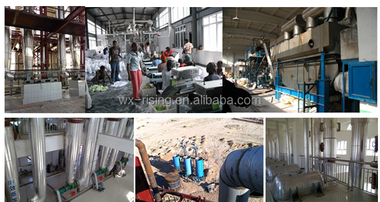 Salt Washing Complete Production Line by RSE - Efficient & Reliable