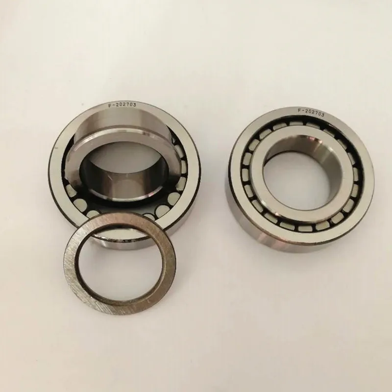 F554185.01.nup Cylindrical Roller Bearing F-554185.01 - Buy Cylindrical ...
