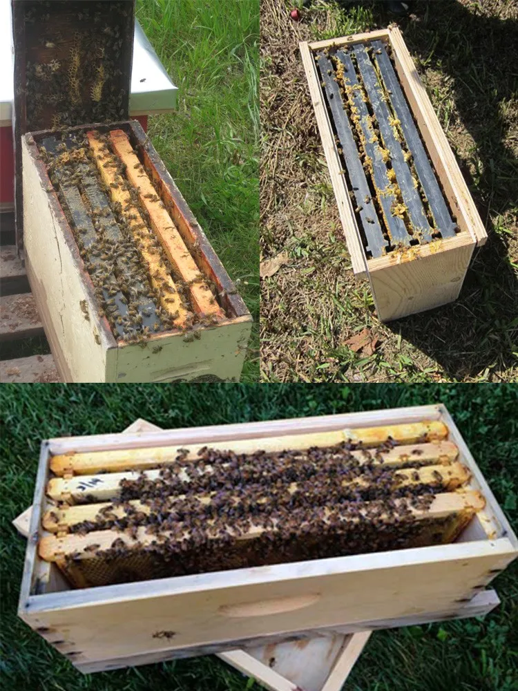 Wooden 5 Frame Bee Nuc Box - Ideal for Beekeeping