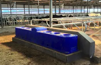 Plastic Cattle Water Trough Rapid Empty Water Trough For Livestock ...