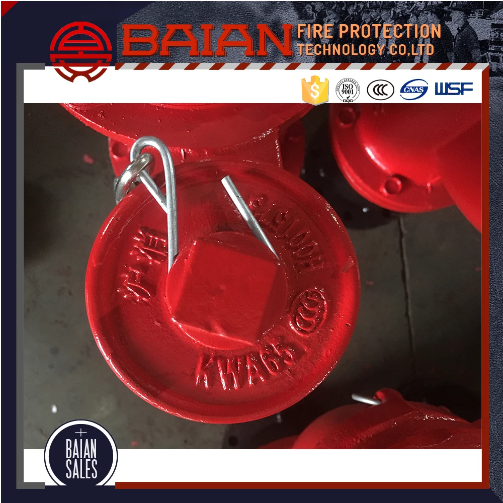 Bs750 2 Way Pillar Type Fire Hydrant for Firefighting with High Quality ...