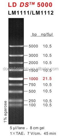 LD DS 5000 Ladder, DNA Marker 5000bp 5kb, OEM Purity 21.5ng/ul
