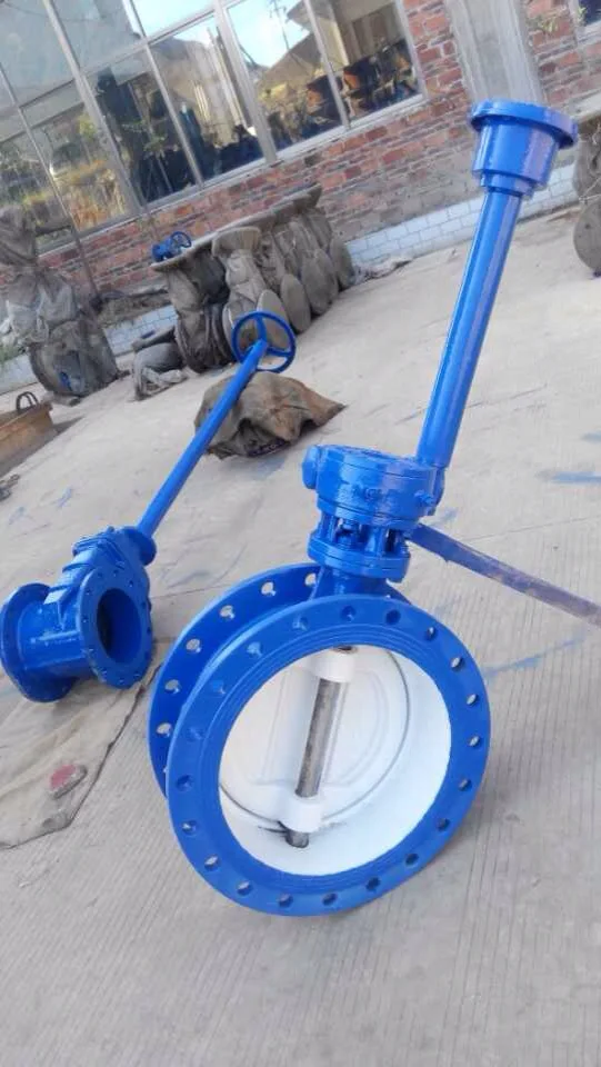 Double Eccentric Butterfly Valve With Gearbox And Extension Spindle ...