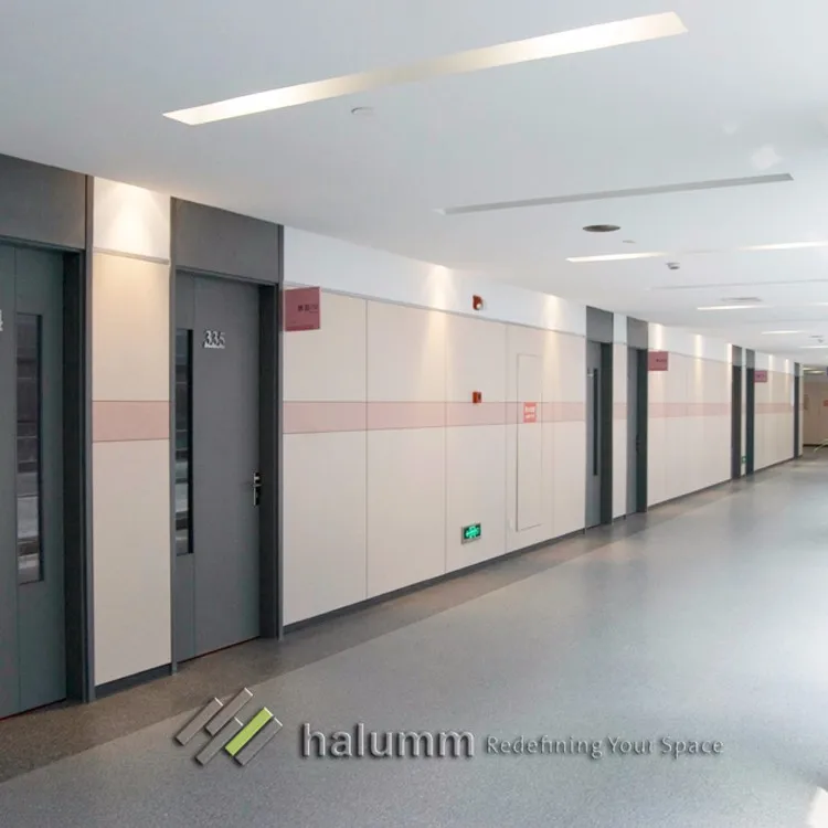 Demountable Soundproof Wall Cladding Steel Wall Panel - Buy Interior ...