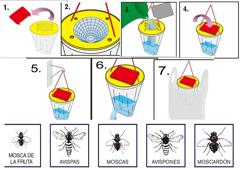 Disposable Fly Traps - Effective Pest Control Solutions