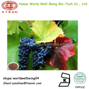 Resveratrol Whitening 99% /grape Skin Extract Powder / Red Grape Leaf ...