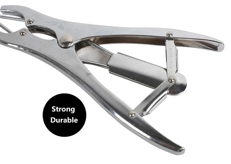 Stainless Steel Elastrator Castration For Pig/sheep Veterinary ...