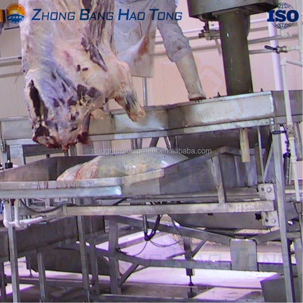 Stainless Steel Viscera Chute With Pneumatic Device For Cattle ...