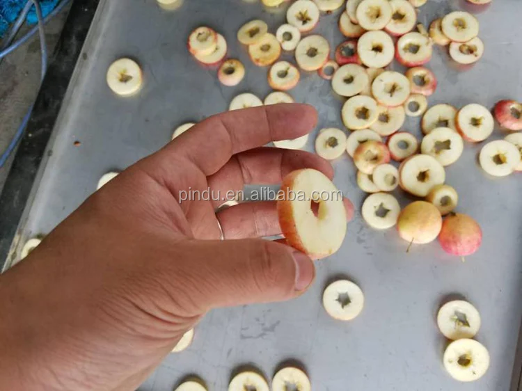 Apple Ring Cutter Slicer Apple Pear Core Remover Apple Peeling Coring ...
