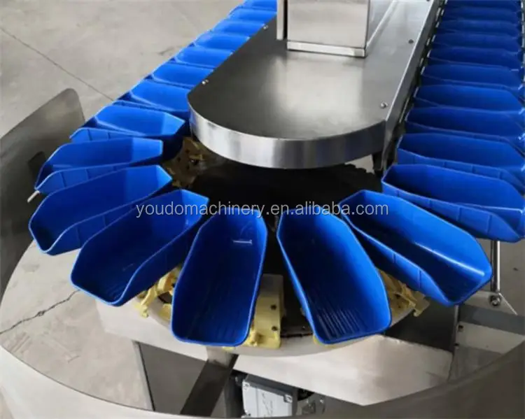 Automatic Shrimp Sorting Machine Prawn Grading Machine Buy Prawn automatic-shrimp-sorting-machine-prawn-grading-machine-buy-prawn