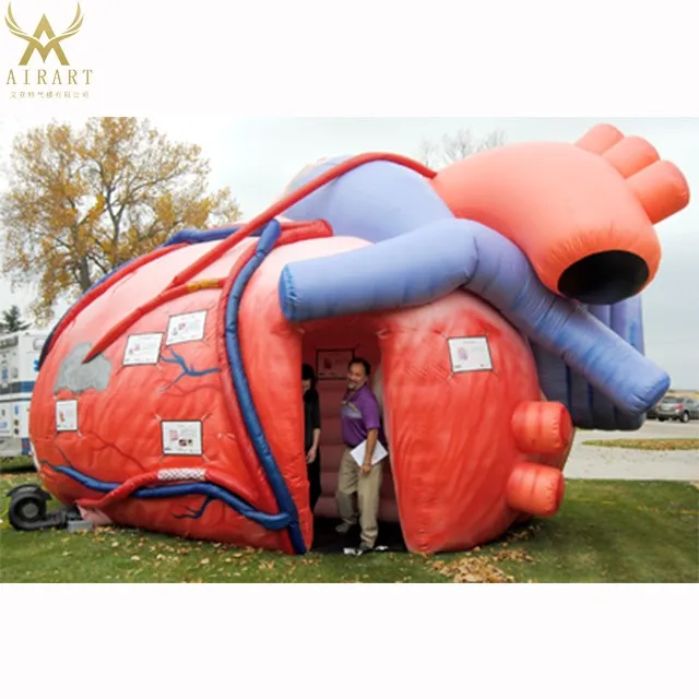 Lifelike Inflatable Heart Body For Exhibition - Buy Inflatable Body ...