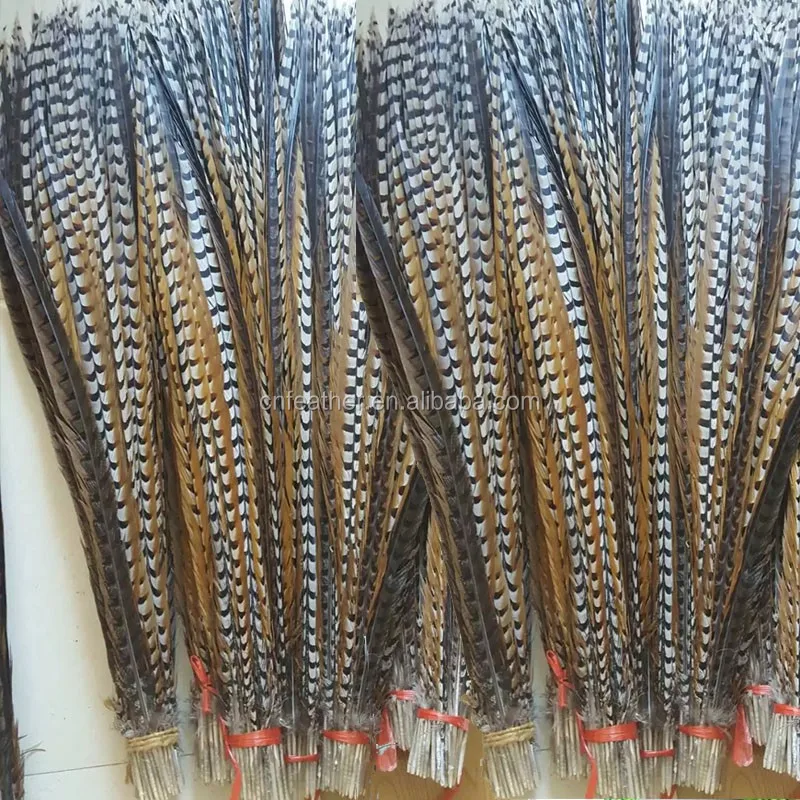 Großhandel Schöne und Günstige Fasan Schwanz Federn Natürliche Reeves ...