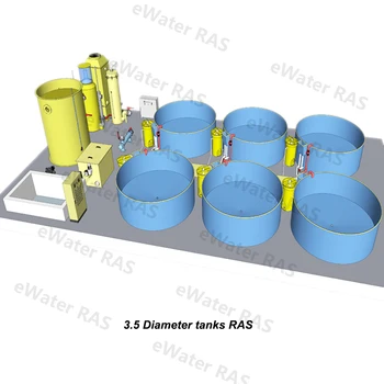 Indoor Ras Shrimp Farming Equipment,Aquaculture Ras Systems ...