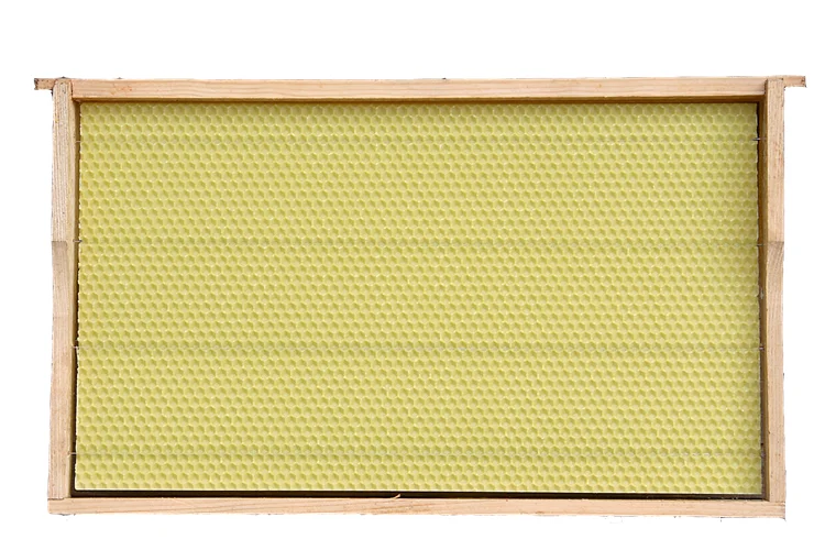 Marco De Abeja Para Colmena,Accesorio Ensamblado Con Base De Madera,Con ...