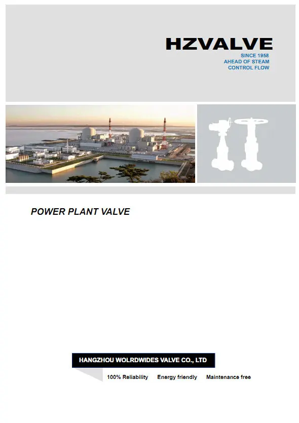 Hangzhou Worldwides Valve Co., Ltd. - Desuperheater,Safety Valve