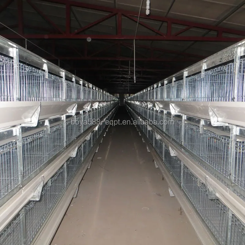 Stacked Colony Cages For Broilers - Buy Cage For Broilers,Broiler ...
