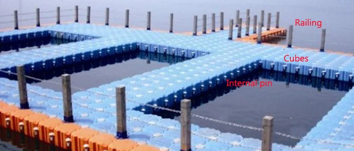 Aquaculture Projects - Durable Solutions for Fish Farming
