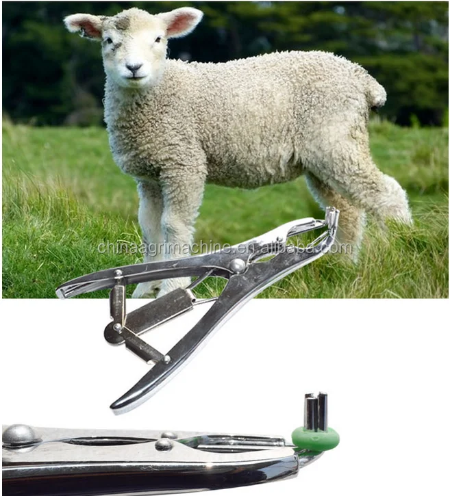 Pig Sheep Castration Tool Burdizzo Castrator Bloodless Castrators For ...