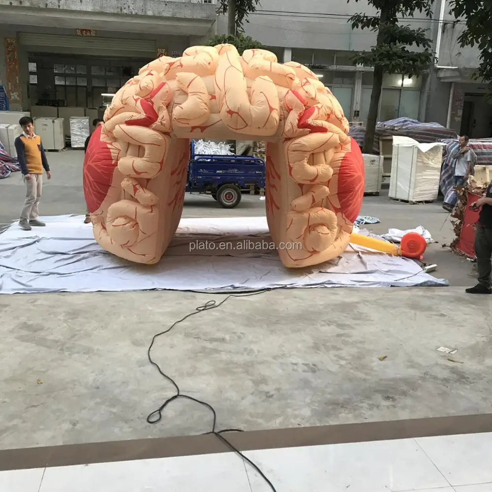 Big Vivid Inflatable Organ,Inflatable Brain Model Entrance Tunnel Dome ...