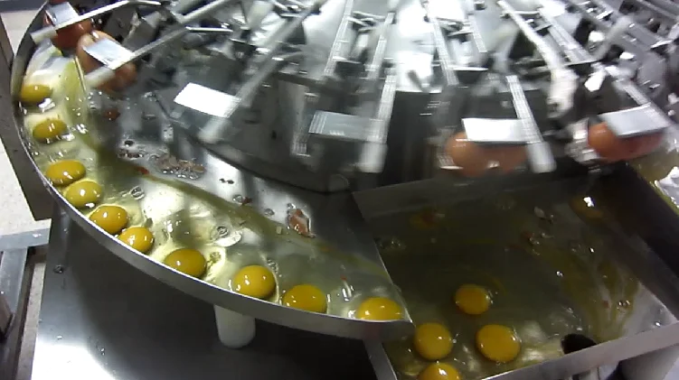 Full Automatic High Yield Small Capacity Chicken Egg Breaking Machine ...