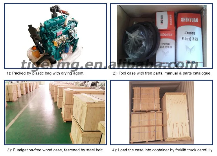 High Quality Shanghai 495a Diesel Engine - Buy Shanghai 495a Diesel ...