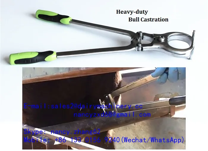 Cow Bloodless Castrating / Bull Castration,High Quality Burdizzo ...