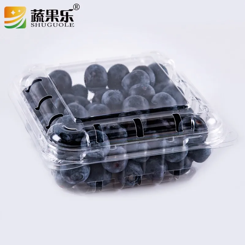 Blueberry Plastic Box - Custom Sized Perforated Container