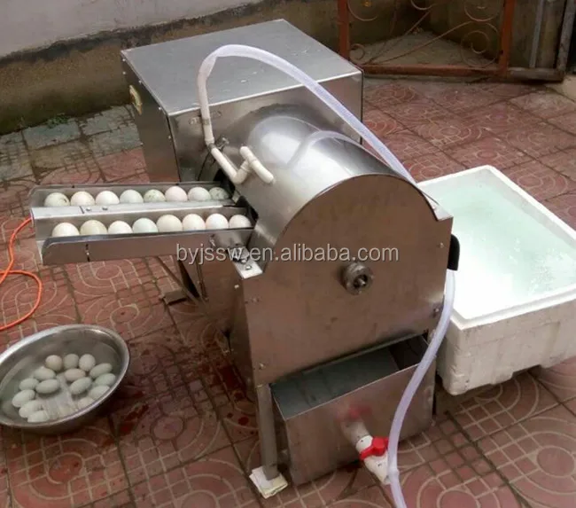 Small Model Egg Washing Machine - Buy Small Model Egg Washing Machine ...