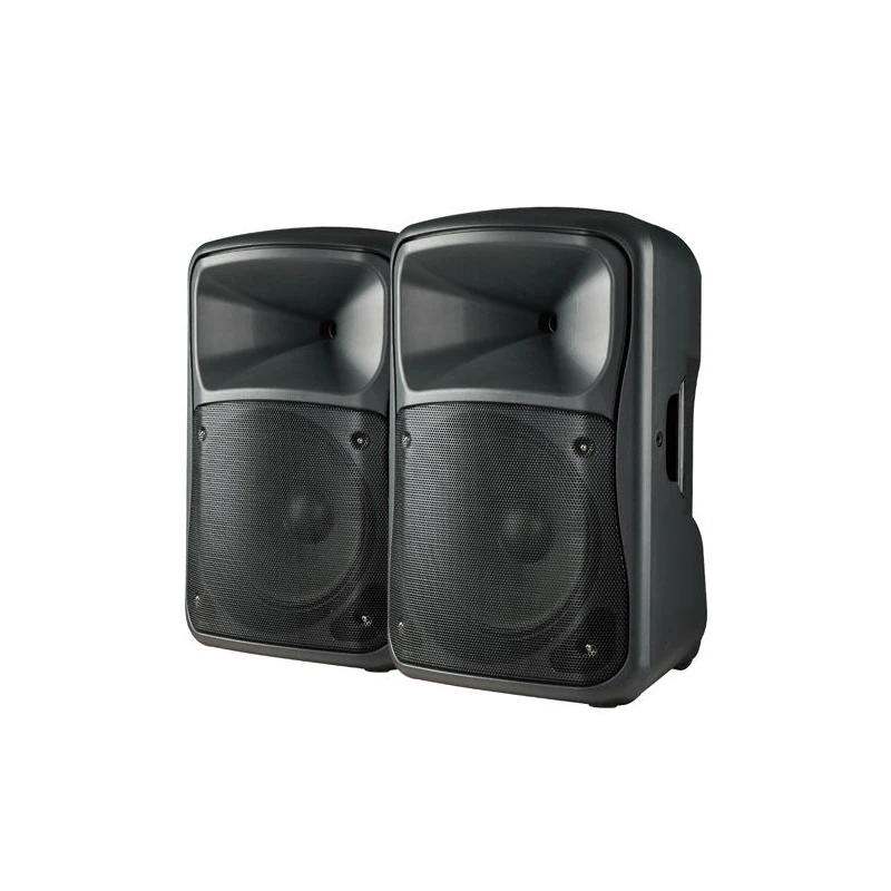 Best Dual Swoofer Stage Speakers 2.0 Karaoke Player