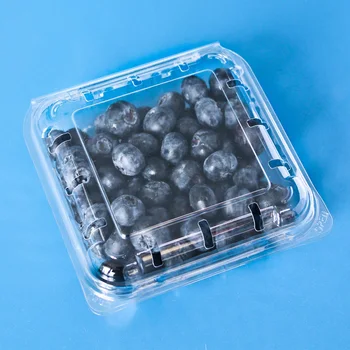 Blueberry 4.4oz Plastic Clamshell Berries Packaging - Buy 4.4oz Plastic ...