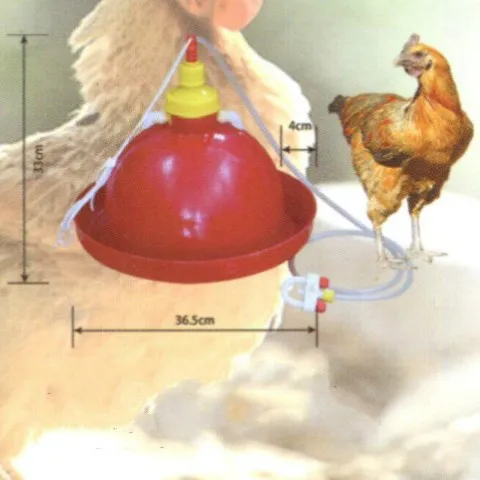 Plastic Poultry Chicken Plasson Bell Drinker Broiler Chick Water ...