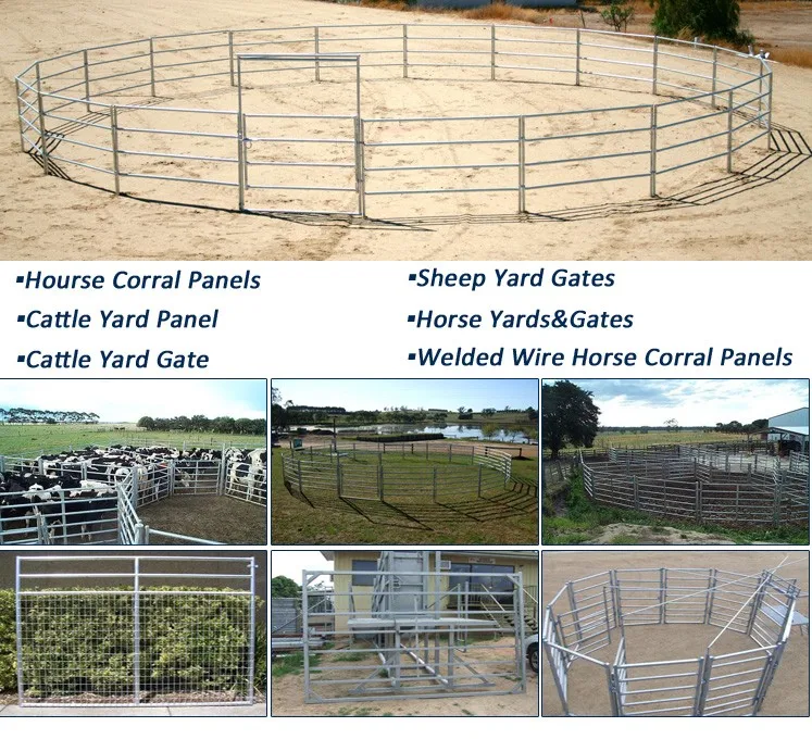 Aso Anping Real Factory Wholesale Bulk Cattle Fence/30*60*1.5mm Oval ...