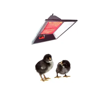 Commercial Chick Outdoor Chicken Brooder Gas Heat Lamp - Buy Outdoor ...