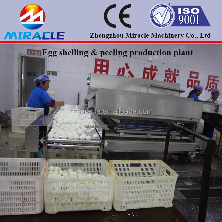 Chicken Egg Washing/boiling/peeling Machine Whole Line For Sale - Buy ...