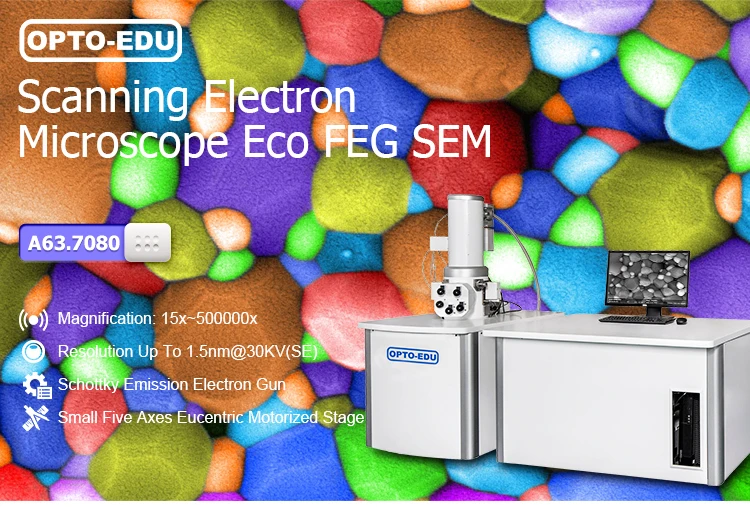 Opto-edu A63.7080 Schottky Field Emission Gun Scanning Electron ...